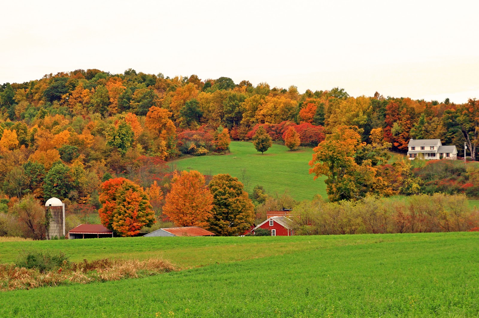 Chase Images: Early October
