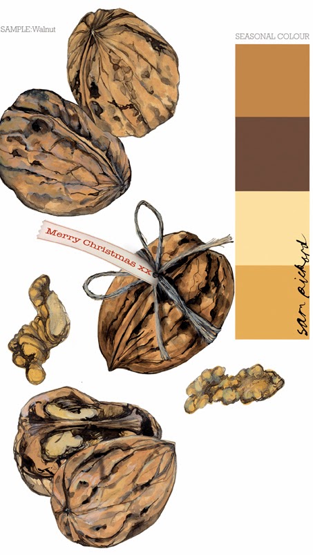 Planet Sam: Colour from the Season - Walnut shell brown