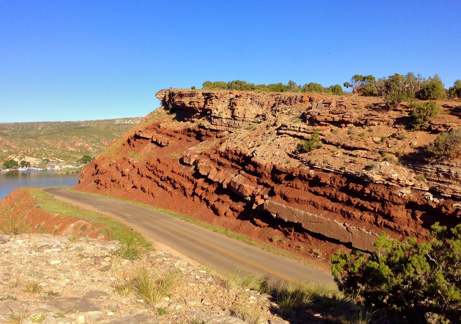 In the Company of Plants and Rocks: Redbeds