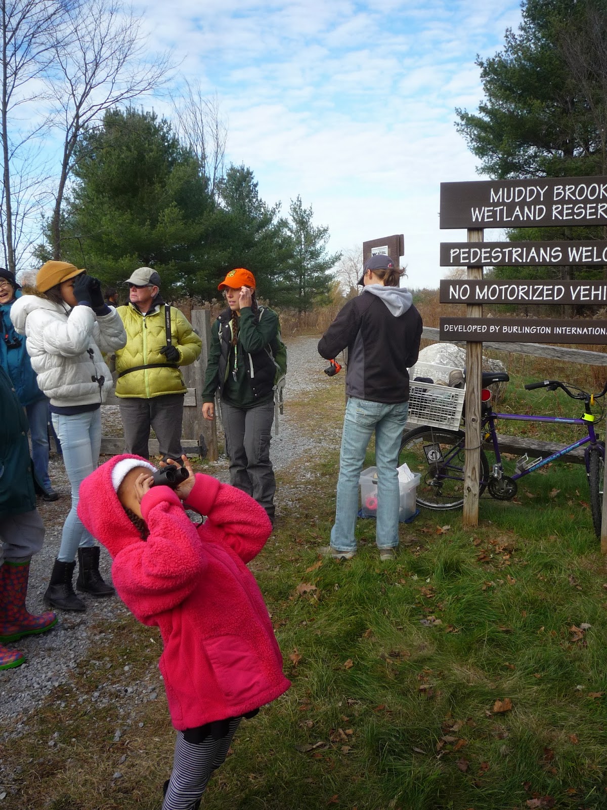 South Burlington, Vermont nature trails - Muddy Brook Wetland Reserve ...