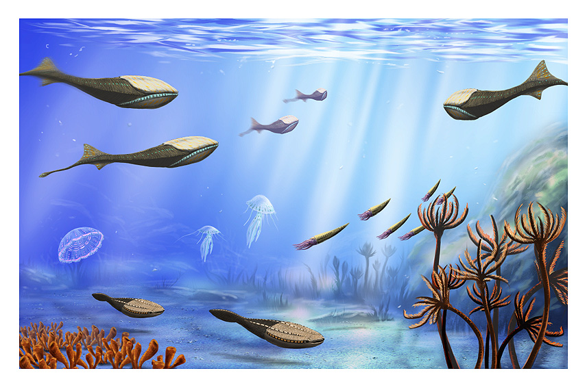 Ordovician Era Underwater Life During The Paleozoic Photograph by Publiphoto