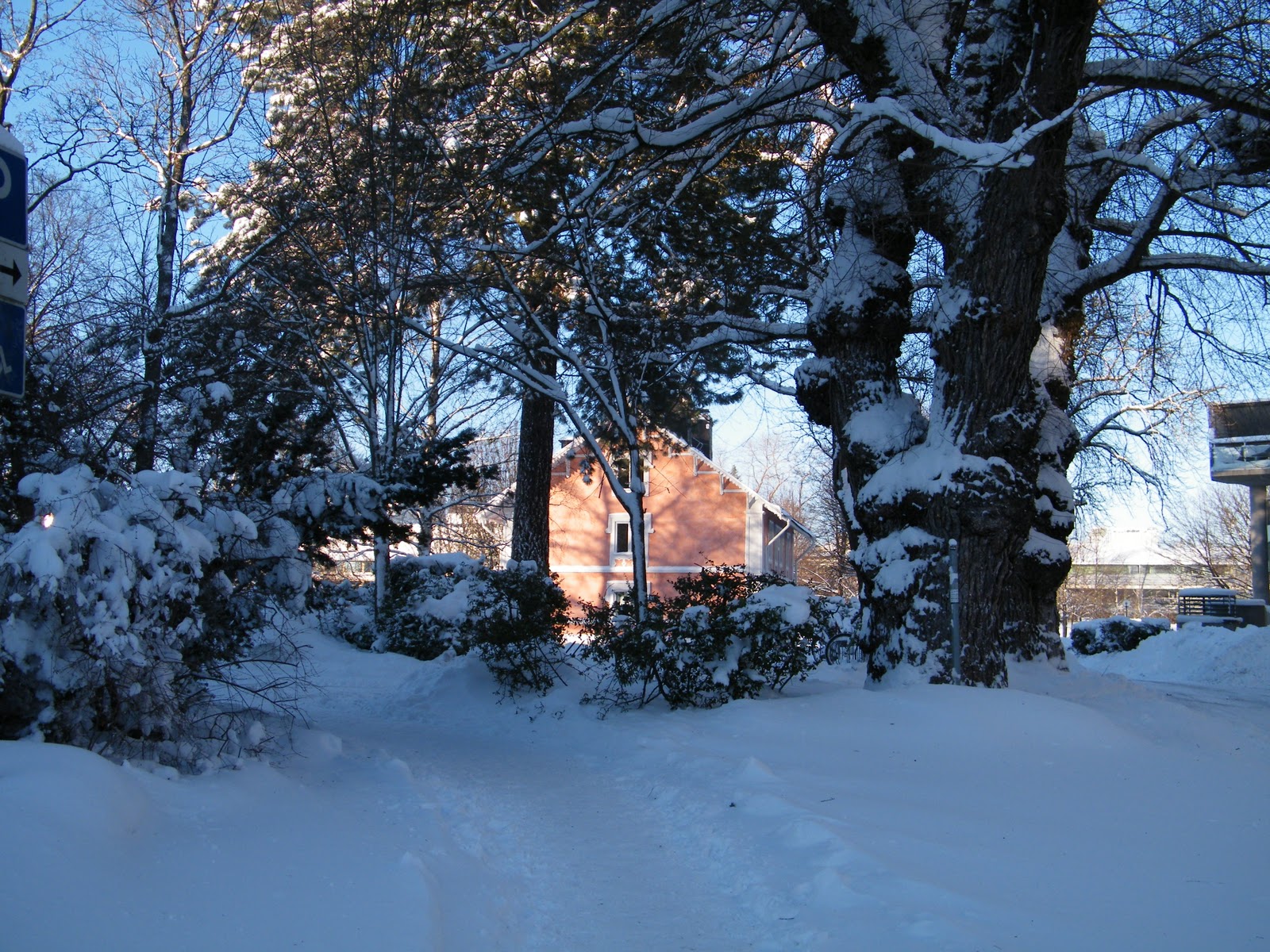 Madlooks: February 2011