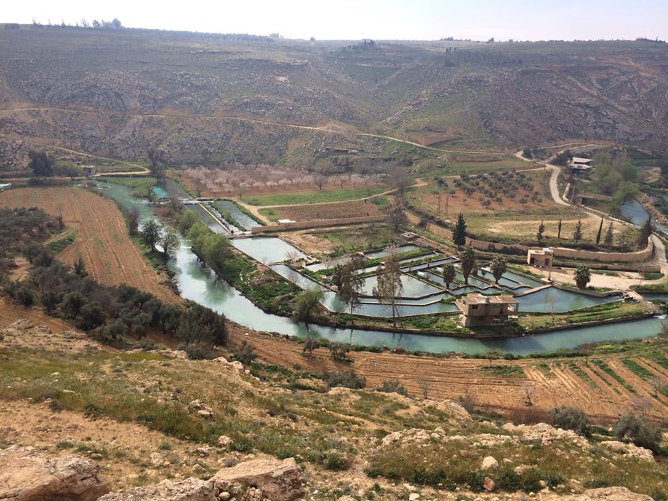 Lebanese Aquaculture: Bioaqua Trout Farm - Al Assi River, Hermel ...