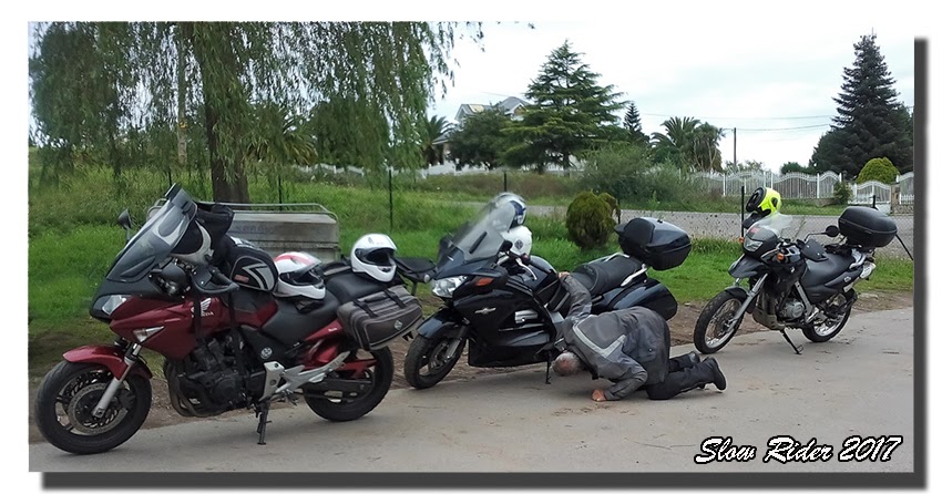 SLOW RIDER: LA VACA MOTERA 17/09/2017 THE BIKER COW