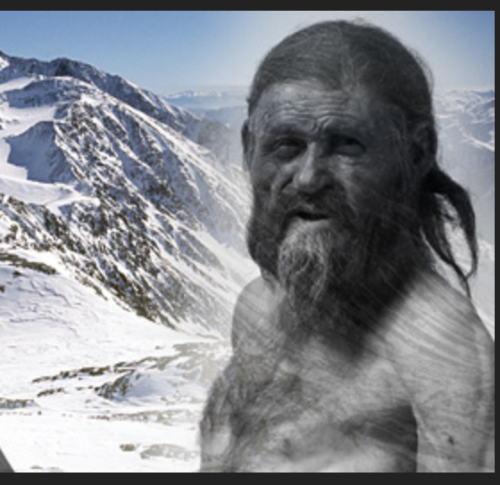 afamilyhistorycafe.com