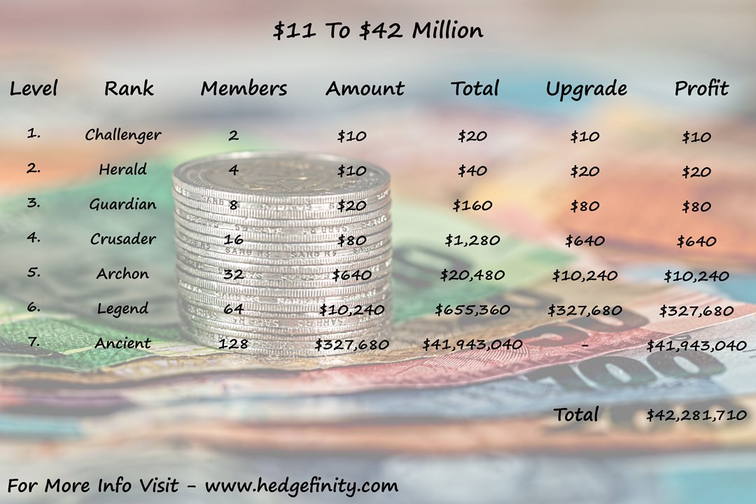 HEDGEFINITY - How $11 gets turned into $42 Million