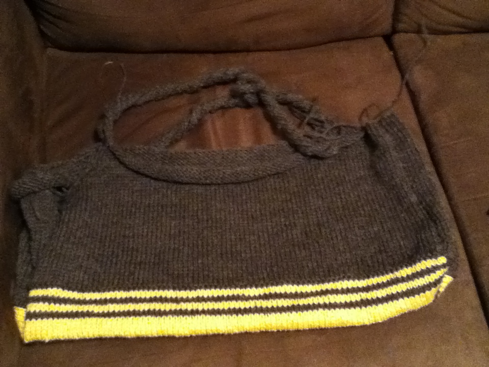 Rosy Creations: Knitted Felted Purse