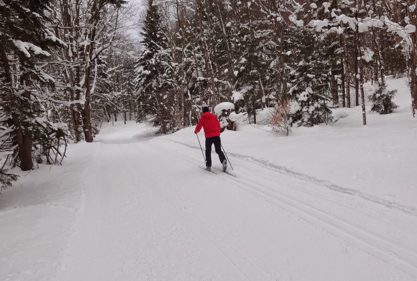 Tug HIll Plateau Ski | Wayne County Life