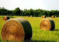 CAST: Driving Under the Influence on Country Roads