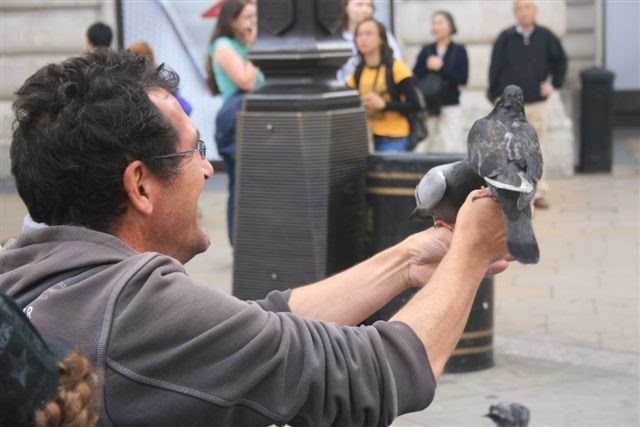 Kriteria Cowok Yang Memelihara Burung - Artikel Ampuh