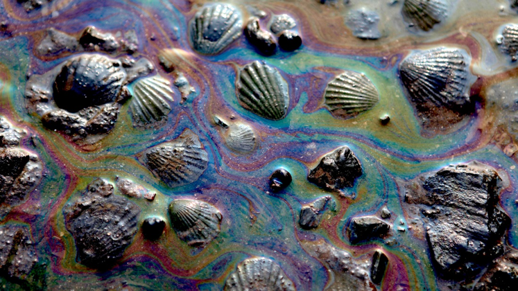 OIL, AND ITS IMPACT ON THE SURFACE OF WATER - Chloe Simpson