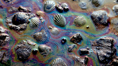 OIL, AND ITS IMPACT ON THE SURFACE OF WATER - Chloe Simpson