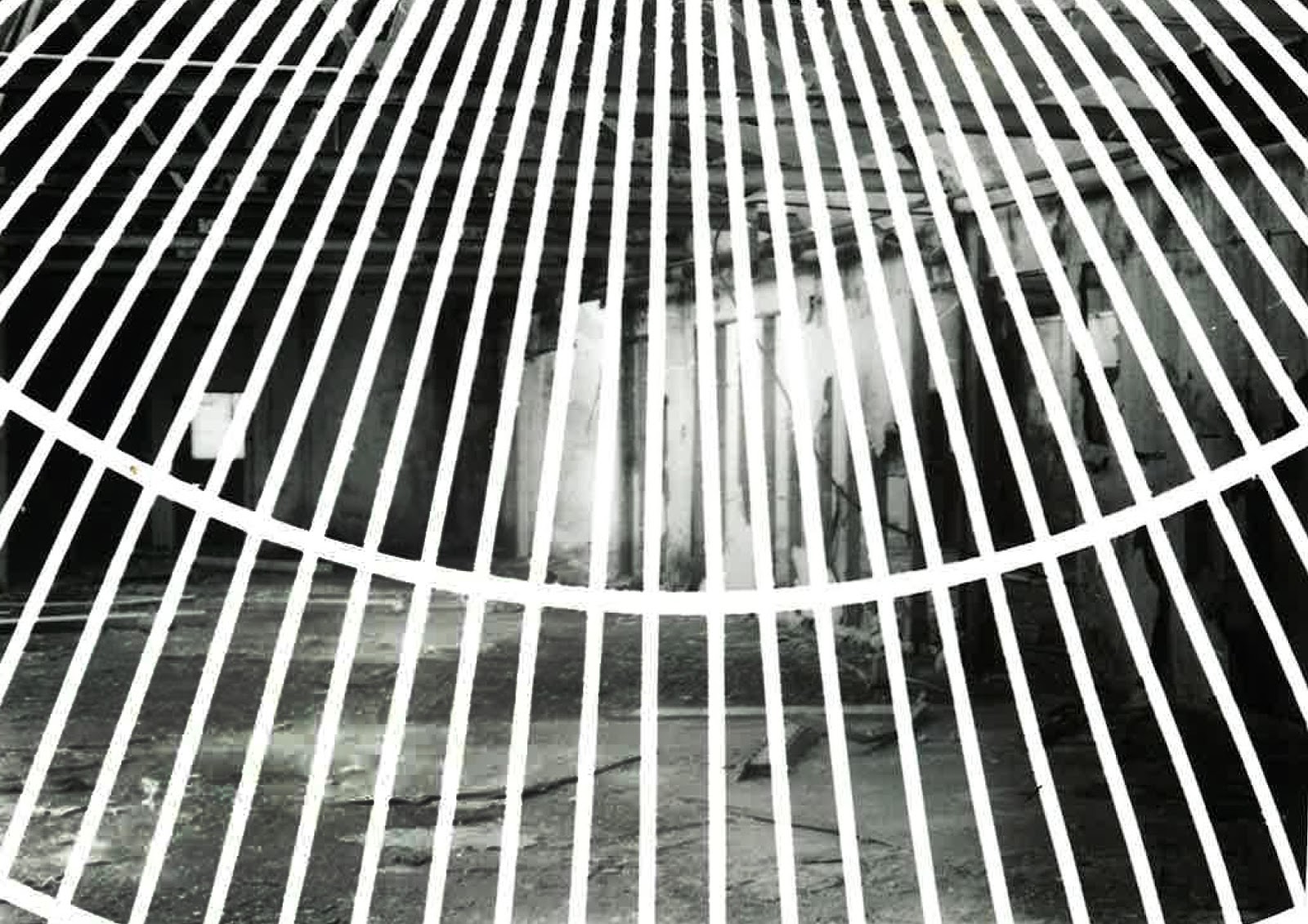 Lauren Carr: Dark Room Experiments.