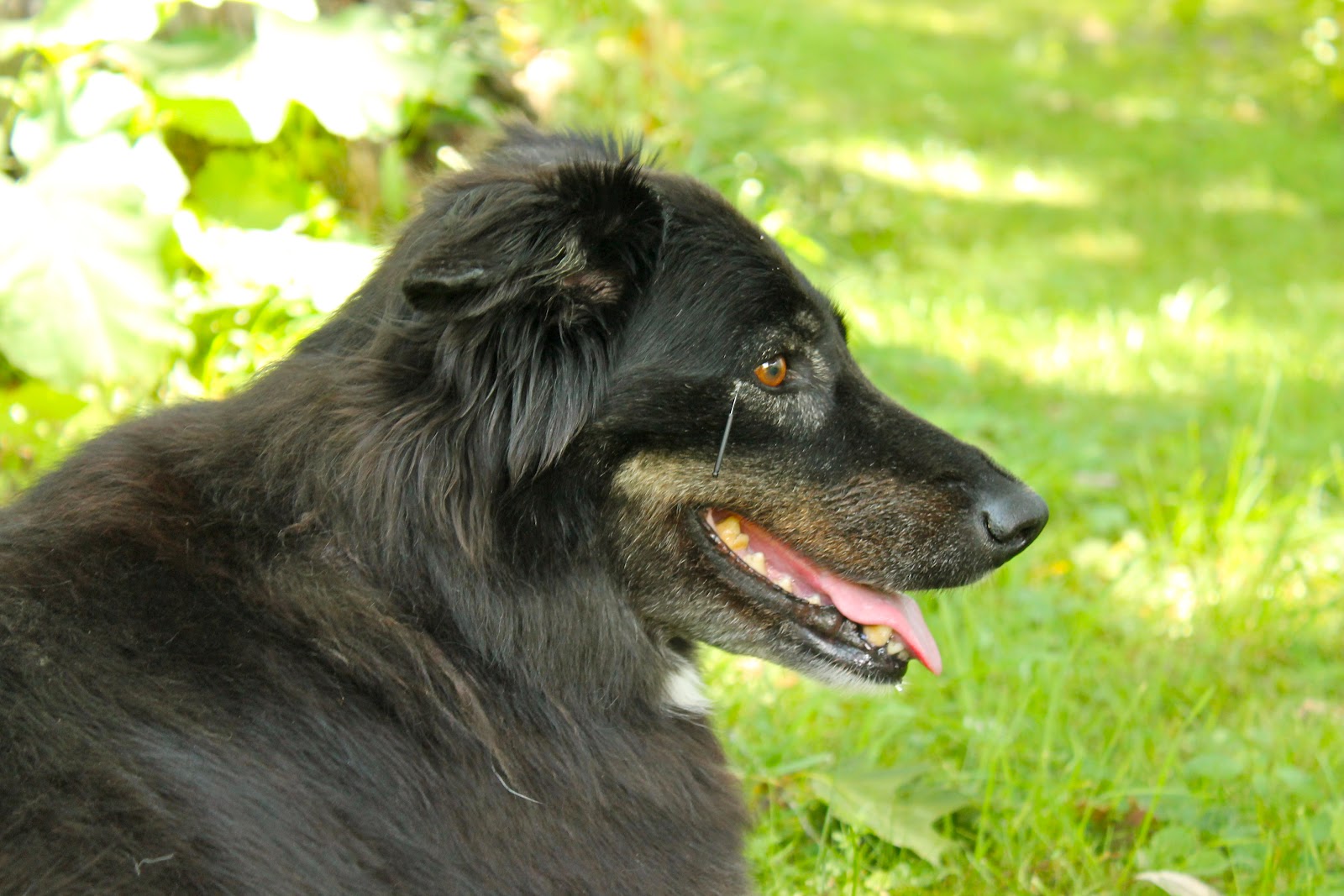 Winter With Zoe: Part II, Day 70: Camp Zoe