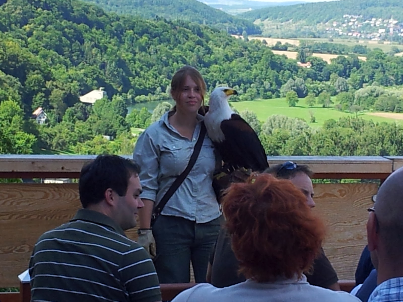 Lady Crooks sophisticated: Von unartigen Mädchen, Vögeln und Ohren die ...