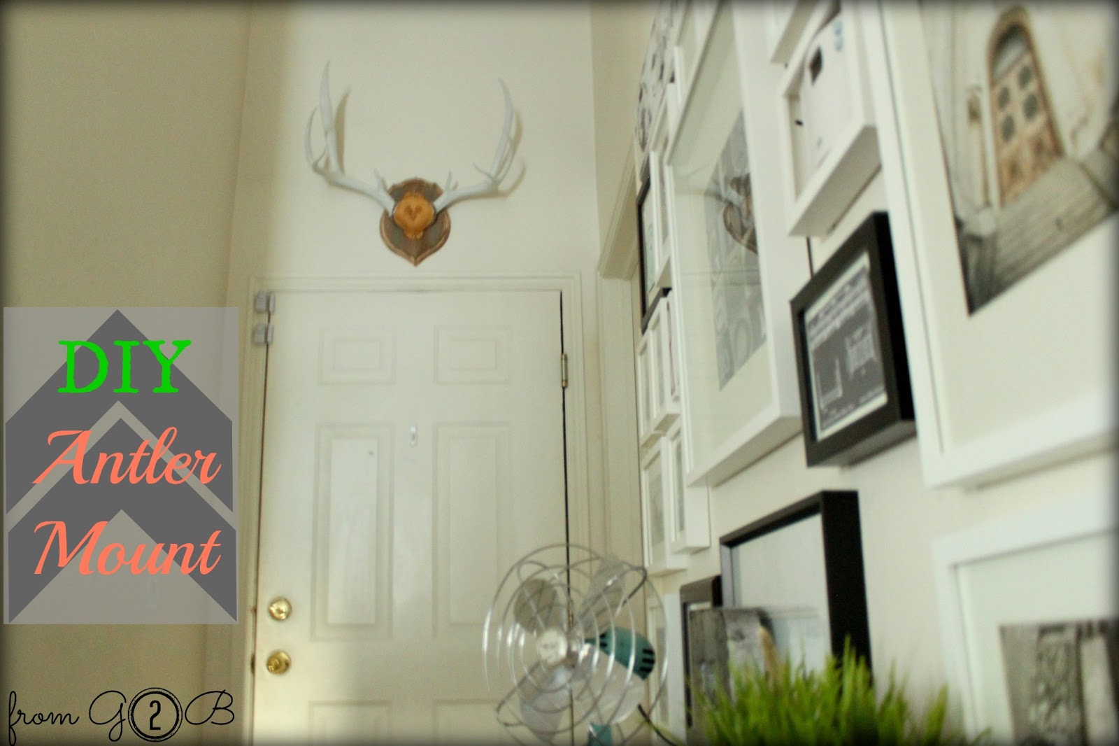 from Gardners 2 Bergers: DIY Antler Mount Tutorial