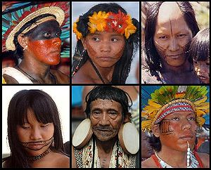 Cultura Indígena Brasileira: Povos indígenas do Brasil