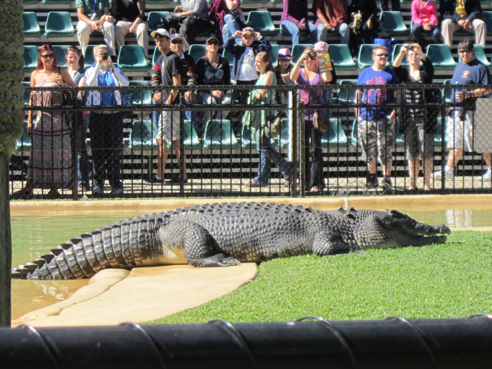 Australian Adventure. . .: Steve Irwin Zoo
