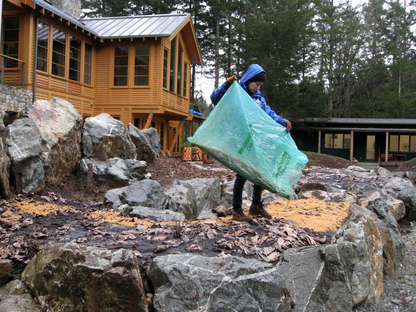 Lesley Turner: Backyard Project - Soil Building