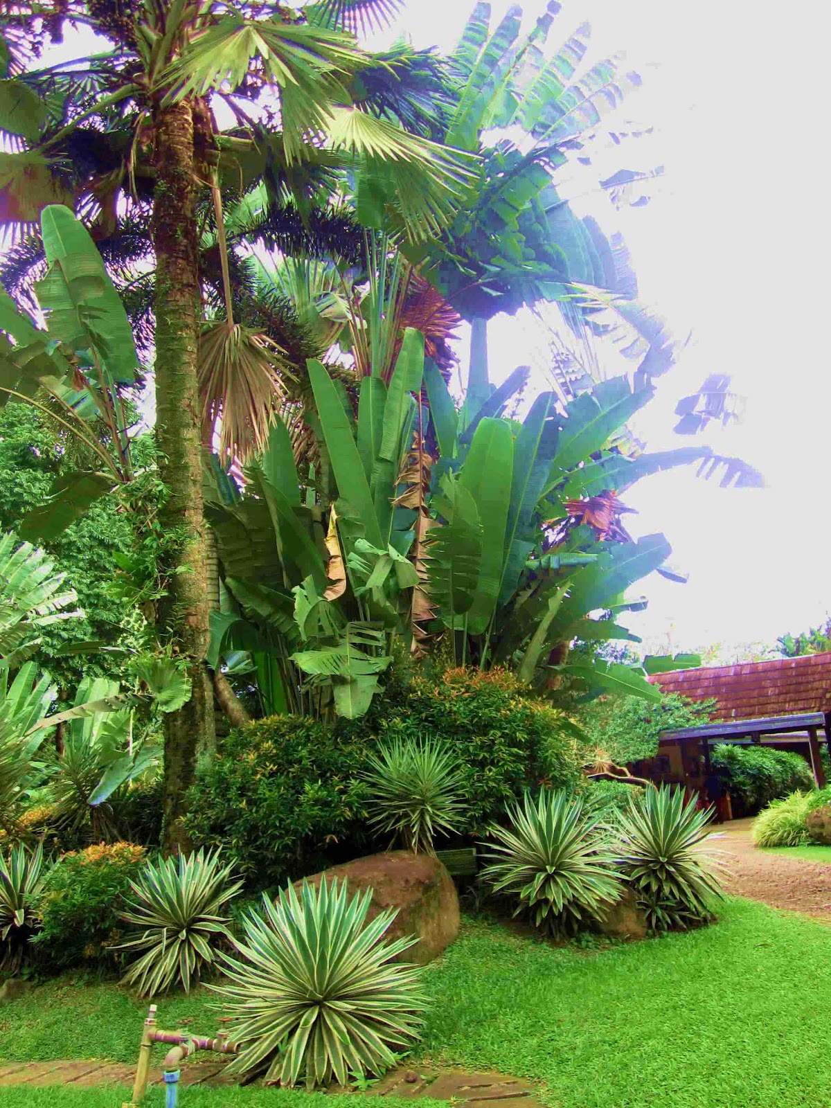 Davaoena In Manila: Nature Tripping at Malagos Garden Resort