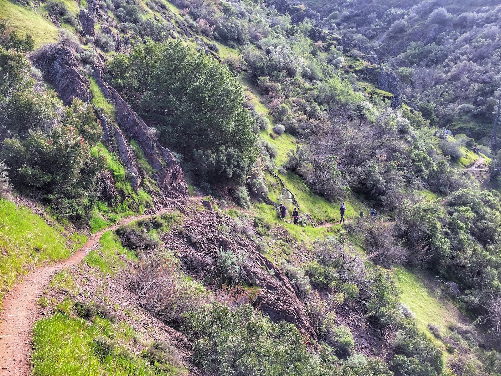Run-Hike-Play: Hiking Mt. Diablo Falls Trail Loop with the Fam