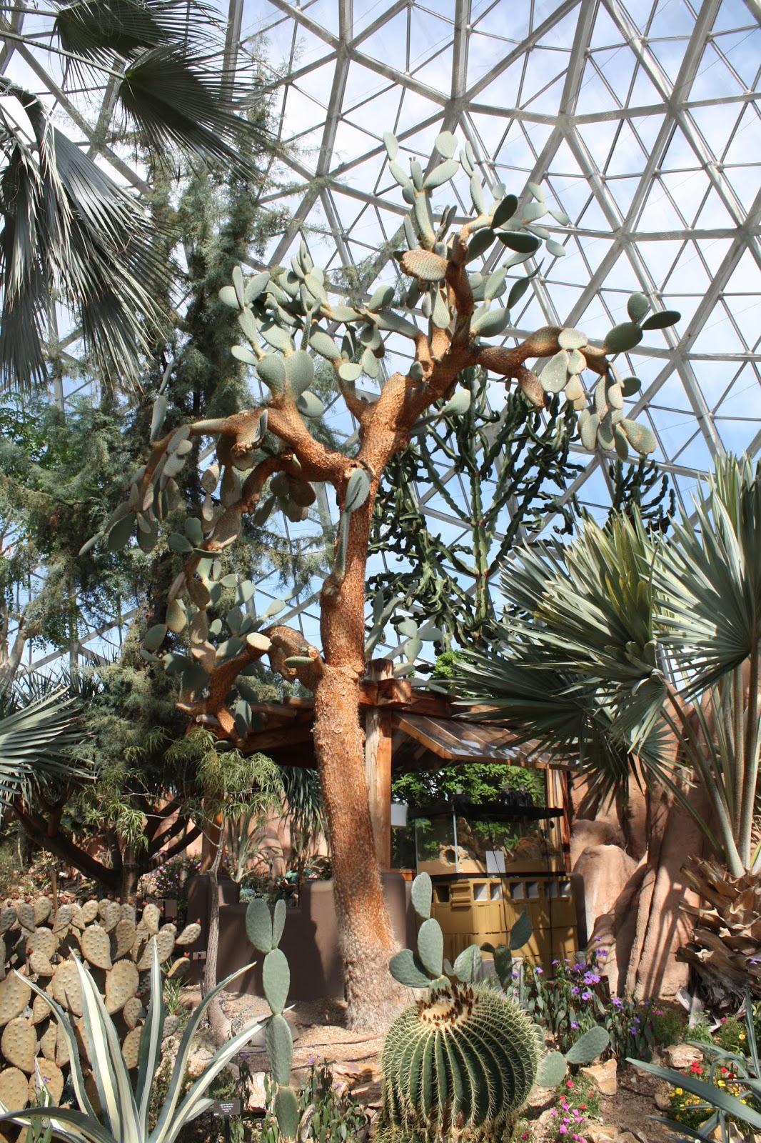 Mitchell Park Domes Inside