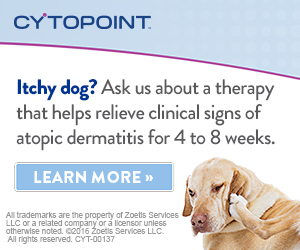 Carma Poodale : #CYTOPOINT Stops Severe Seasonal Itching in Dogs