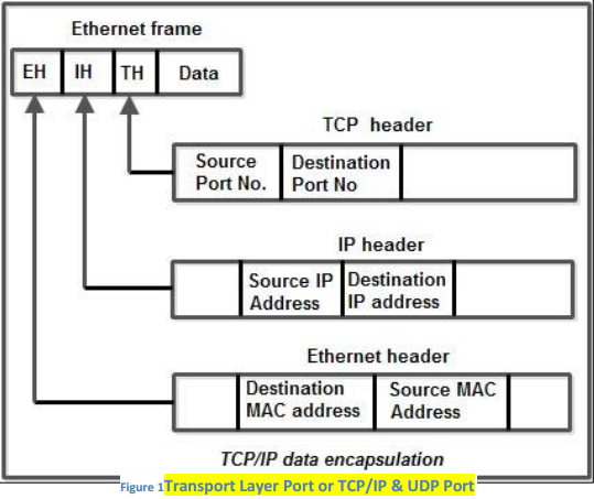 Basic Networking: Transport Layer Port - TCP/IP and UDP Ports