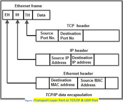 Basic Networking: Transport Layer Port - TCP/IP and UDP Ports