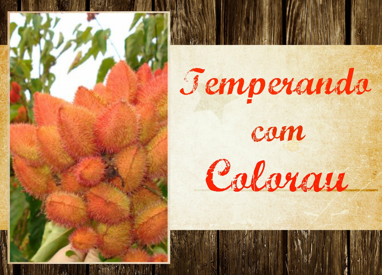 VENTO NORDESTE: TEMPERANDO A VIDA - COLORAU / URUCUM - MUITO ALÉM DO ...