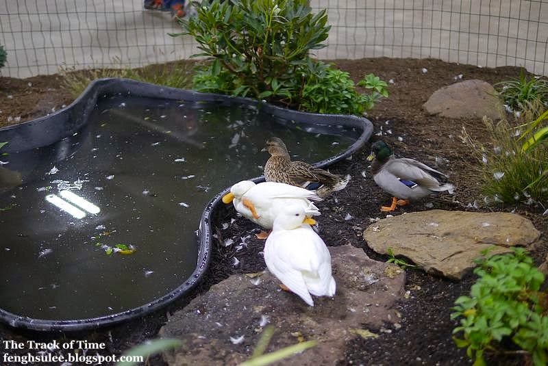 Big E 2014 - Farm-A-Rama | The Track of Time