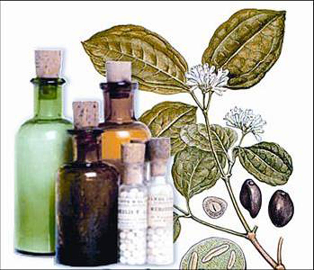 técnicas farmaceuticas: HOMEOPATIA