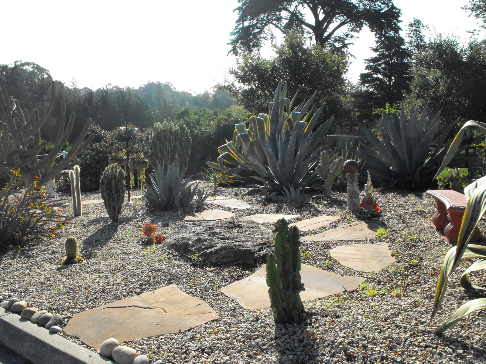 Living Waters Landscaping Asheville: Santa Cruz Landscaping: Boulder ...