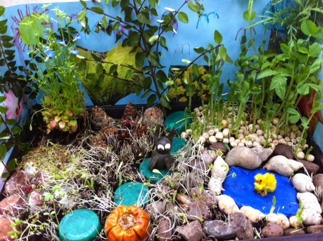 Sheffield Children's University: 'Design a miniature garden in a seed ...