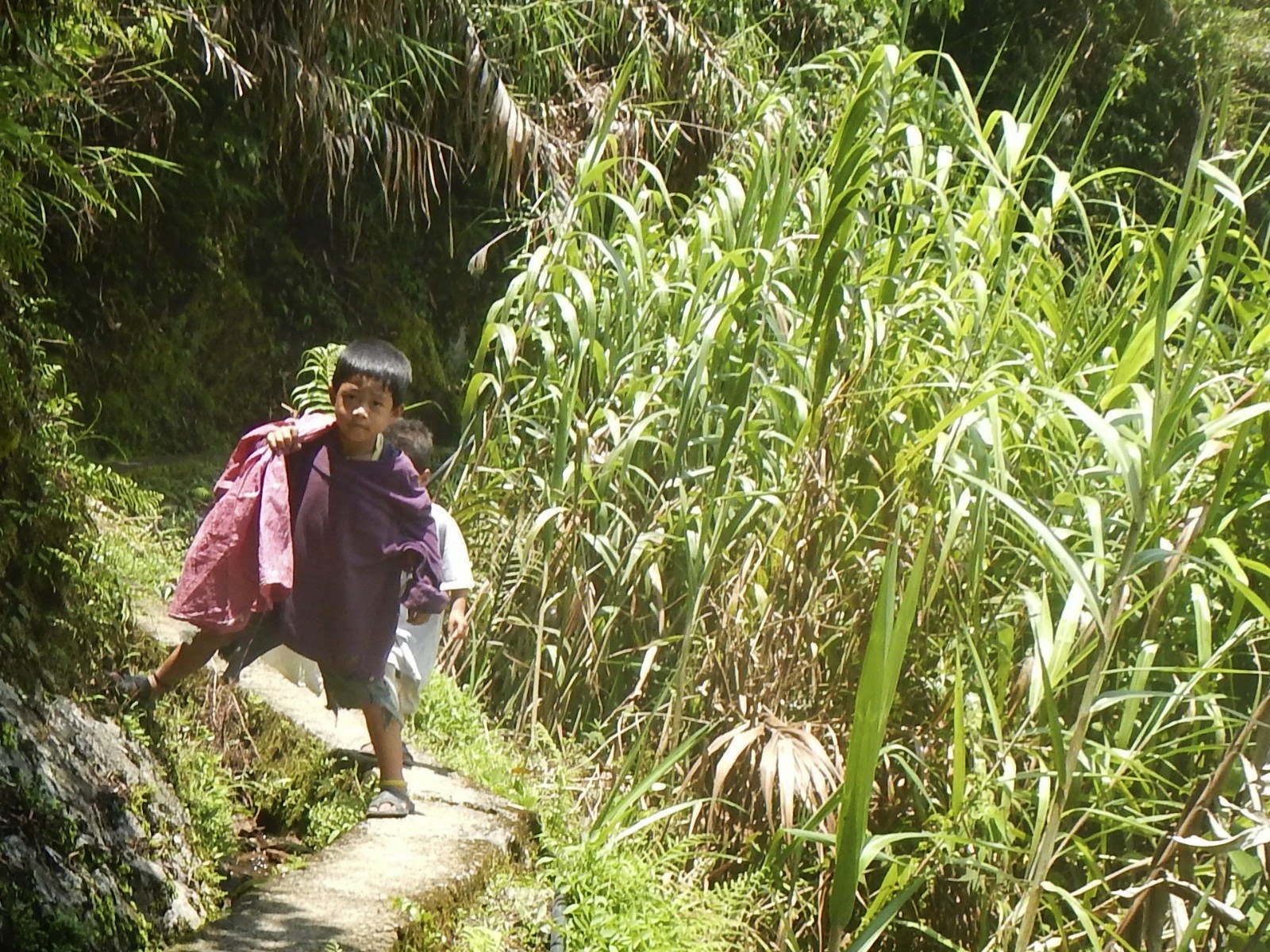 Le voyage de Timhiro : 15/05: Pula >Cambulo > Batad