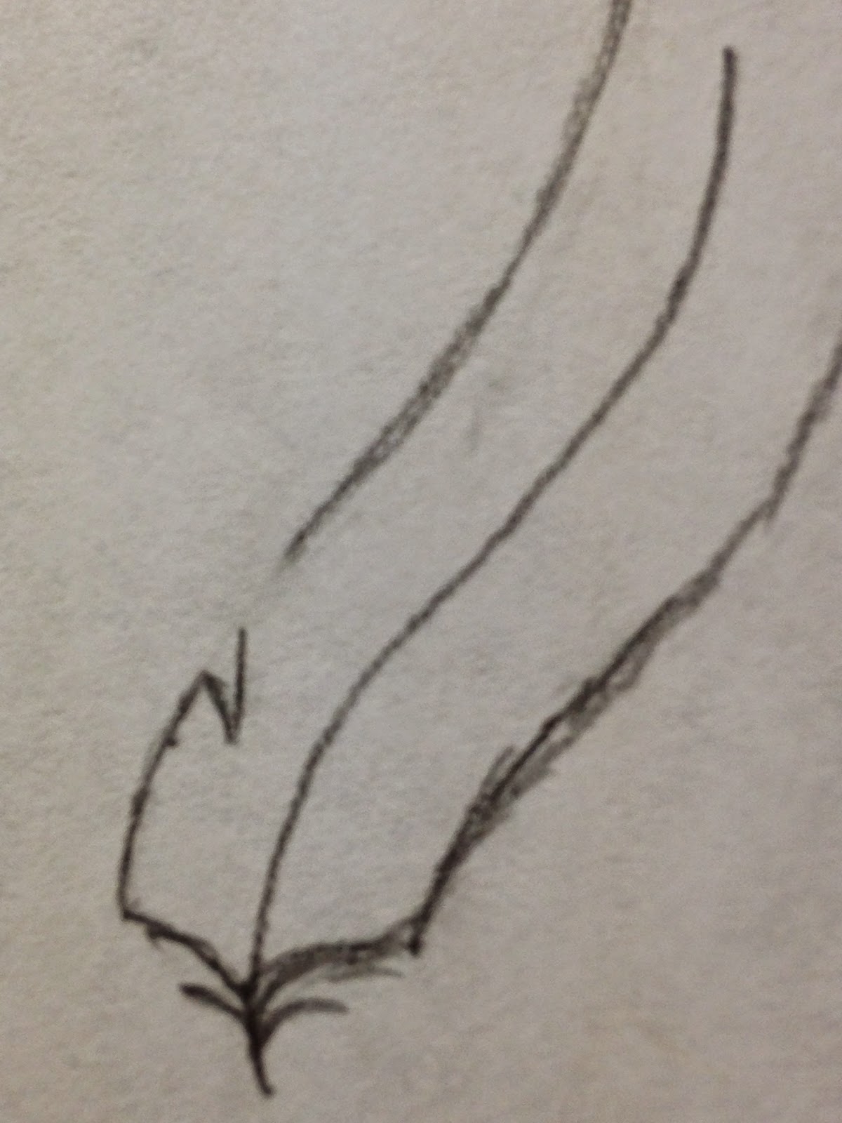 Angel of the Revolution: How to Draw a Simple Feather