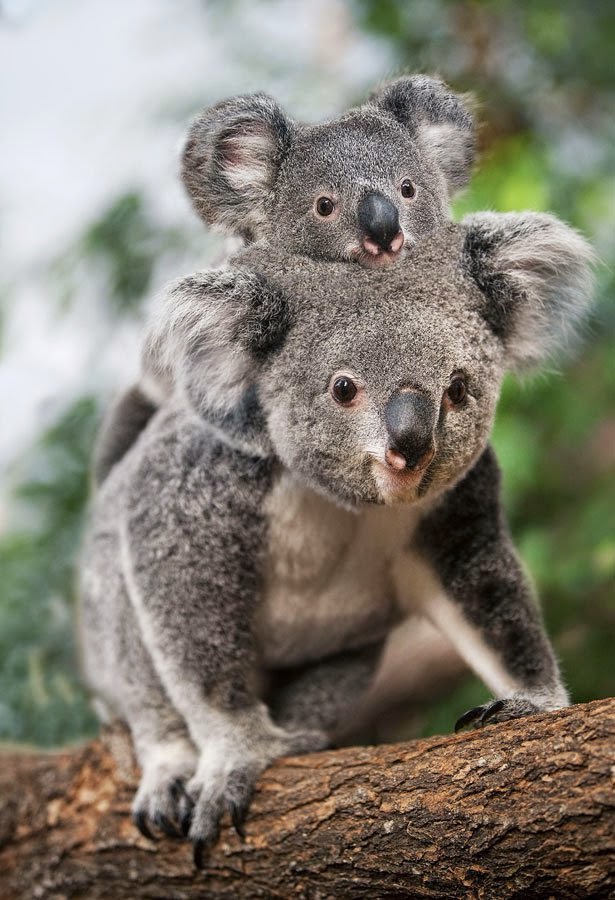 The Beauty of Science