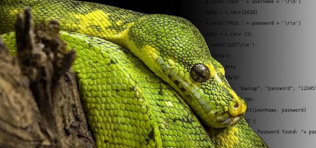 Curso De Hacking Con Python Thehackerway
