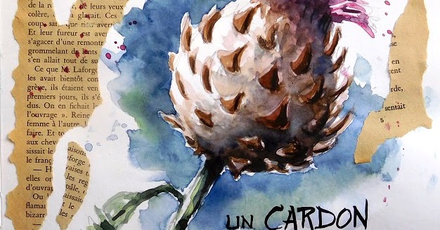 BB-Aquarelle: Cardon / Cardoon