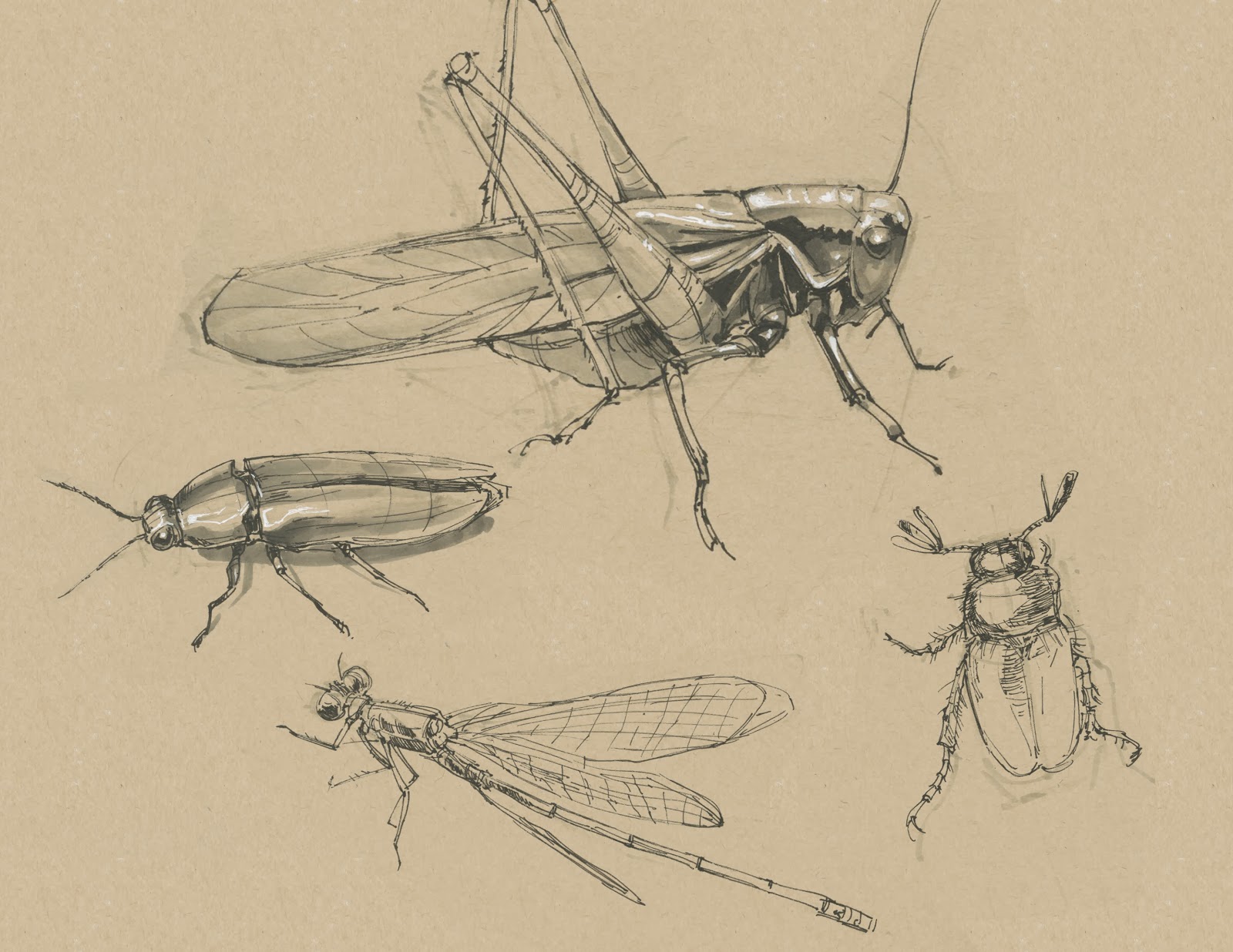 Nina Lee's Blog: Dynamic Sketching - 7th term