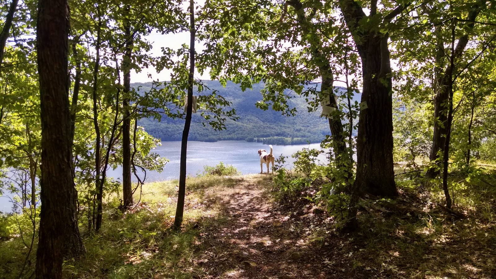 Off on Adventure: Terzian Woodlot - Hague, NY - 8/1/15