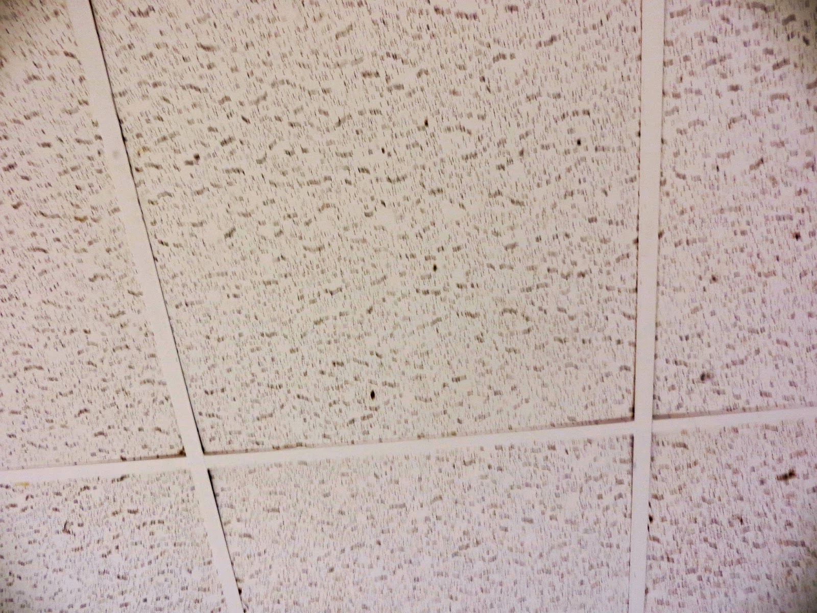 The Creative License: Senior Squares on the Ceiling