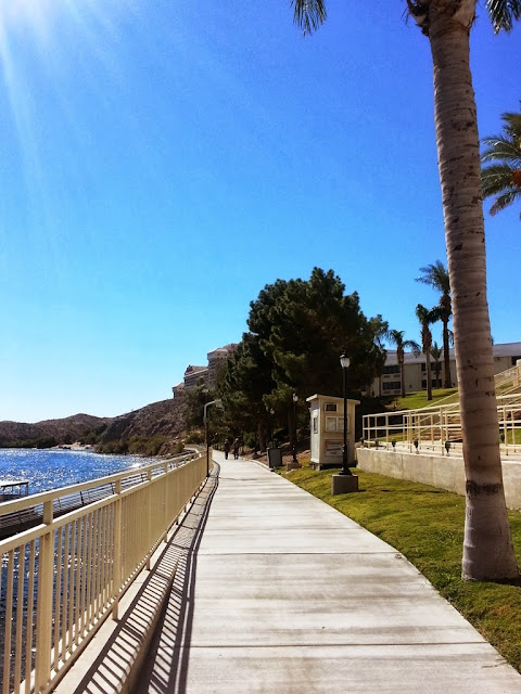 Laughlin Buzz: Laughlin RiverWalk: The River Palms