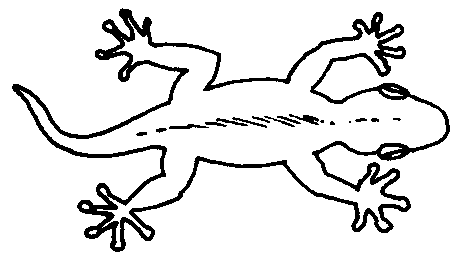 Sekitar Kawasan Sekolah: Gambar Outline_Binatang