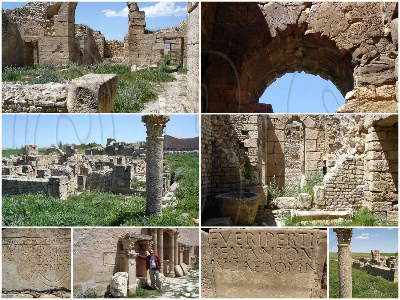 ๑۞๑ Thagaste ๑۞๑: THAGASTE, « LA PROTÉGÉE DES LIONS » Une monographie ...