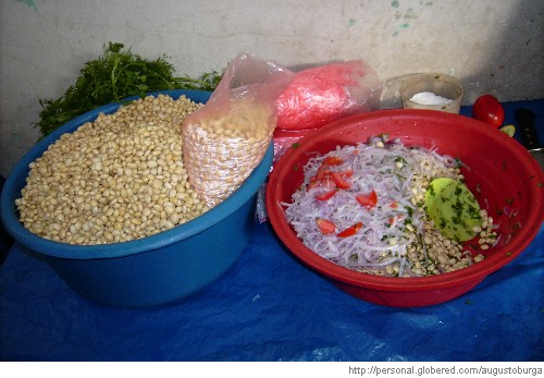 aliz-rosario: Cultura Chavin