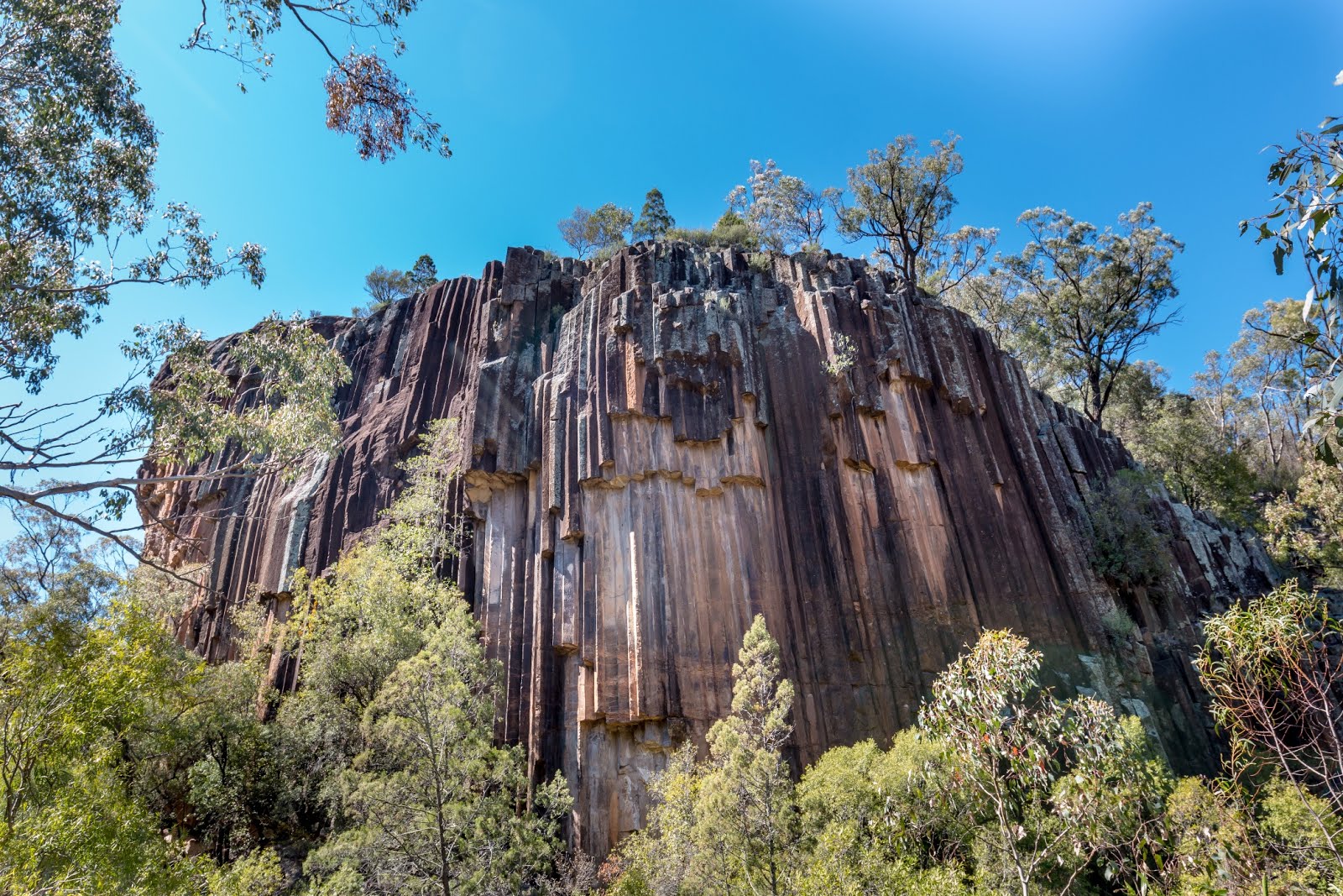 National Park Odyssey: Sawn Rocks, Mount Kaputar National Park, NSW.