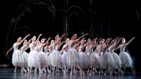 Swan Lake on the Big Screen: Attention to Detail Makes an Old Ballet ...