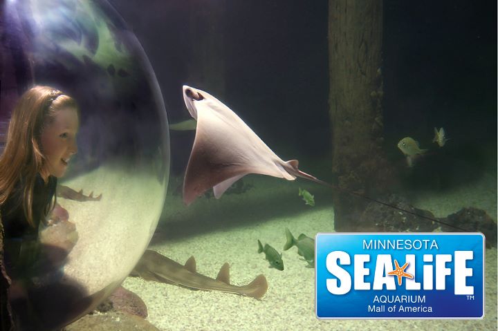 SEA LIFE Minnesota Aquarium: Drop and Shop at the Aquarium!