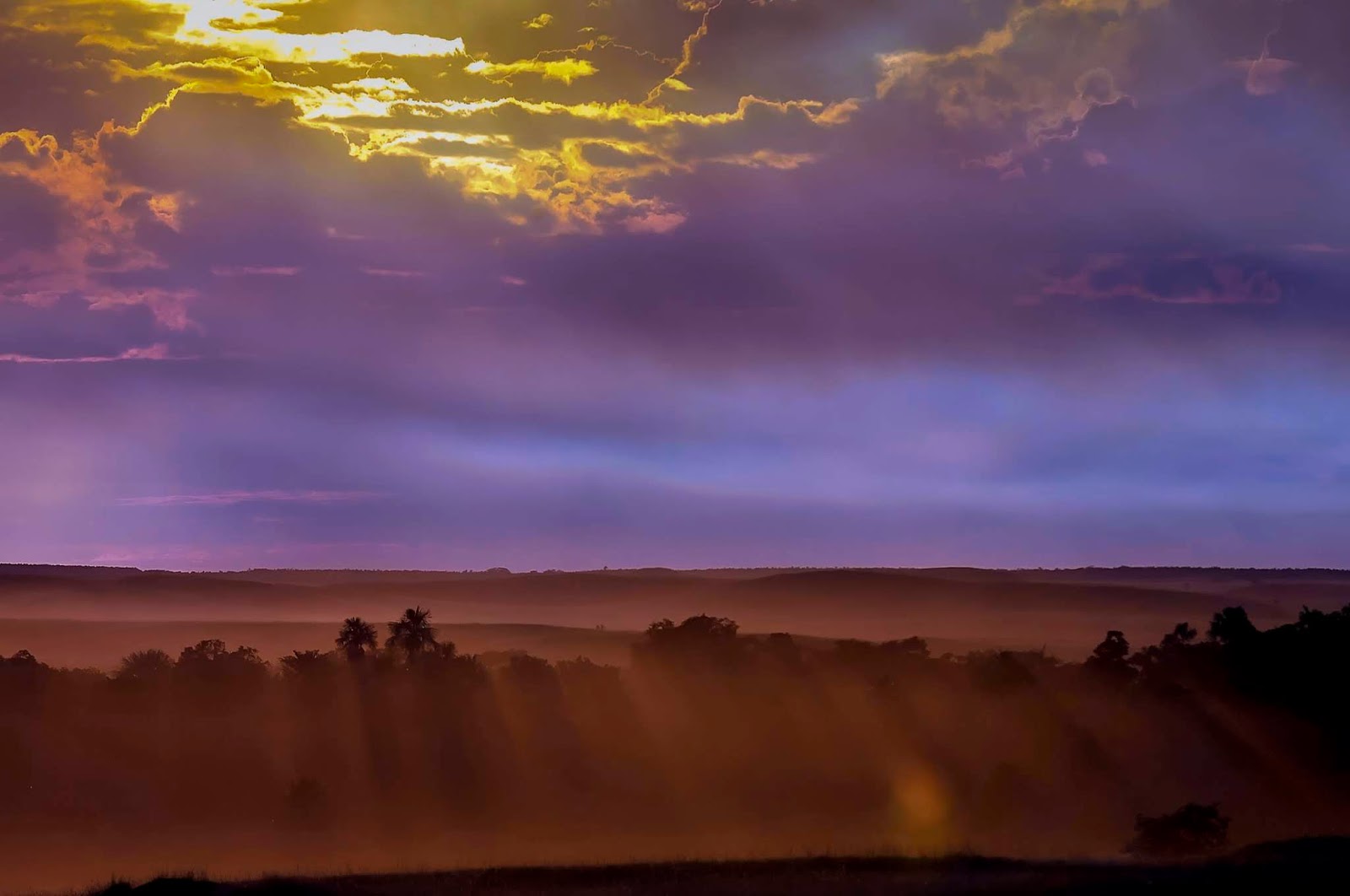 Gabriel Aponte Photographer